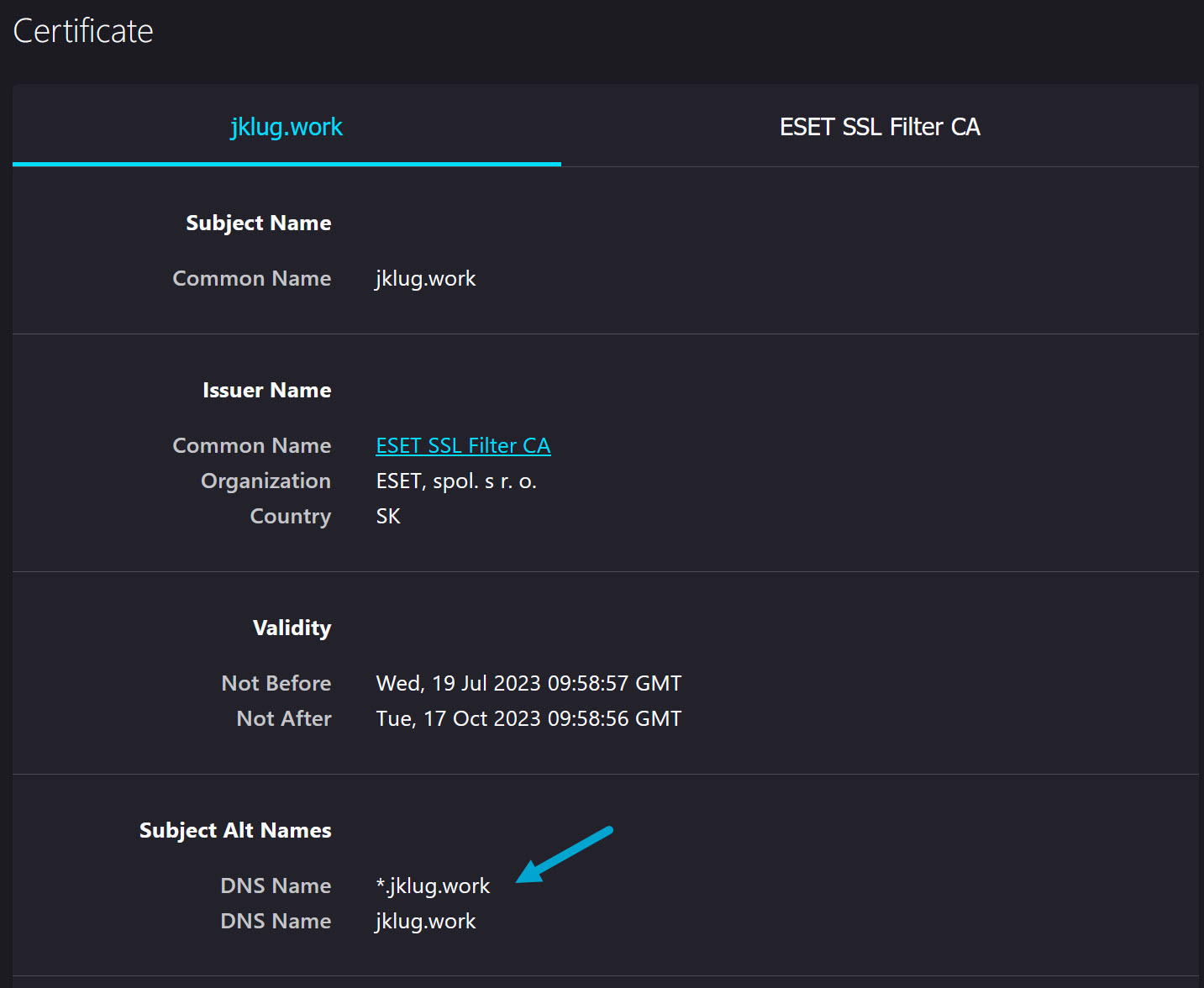 Let's Encrypt Wildcard Certificate with Certbot and AWS Route 53 · blog.jklug.work